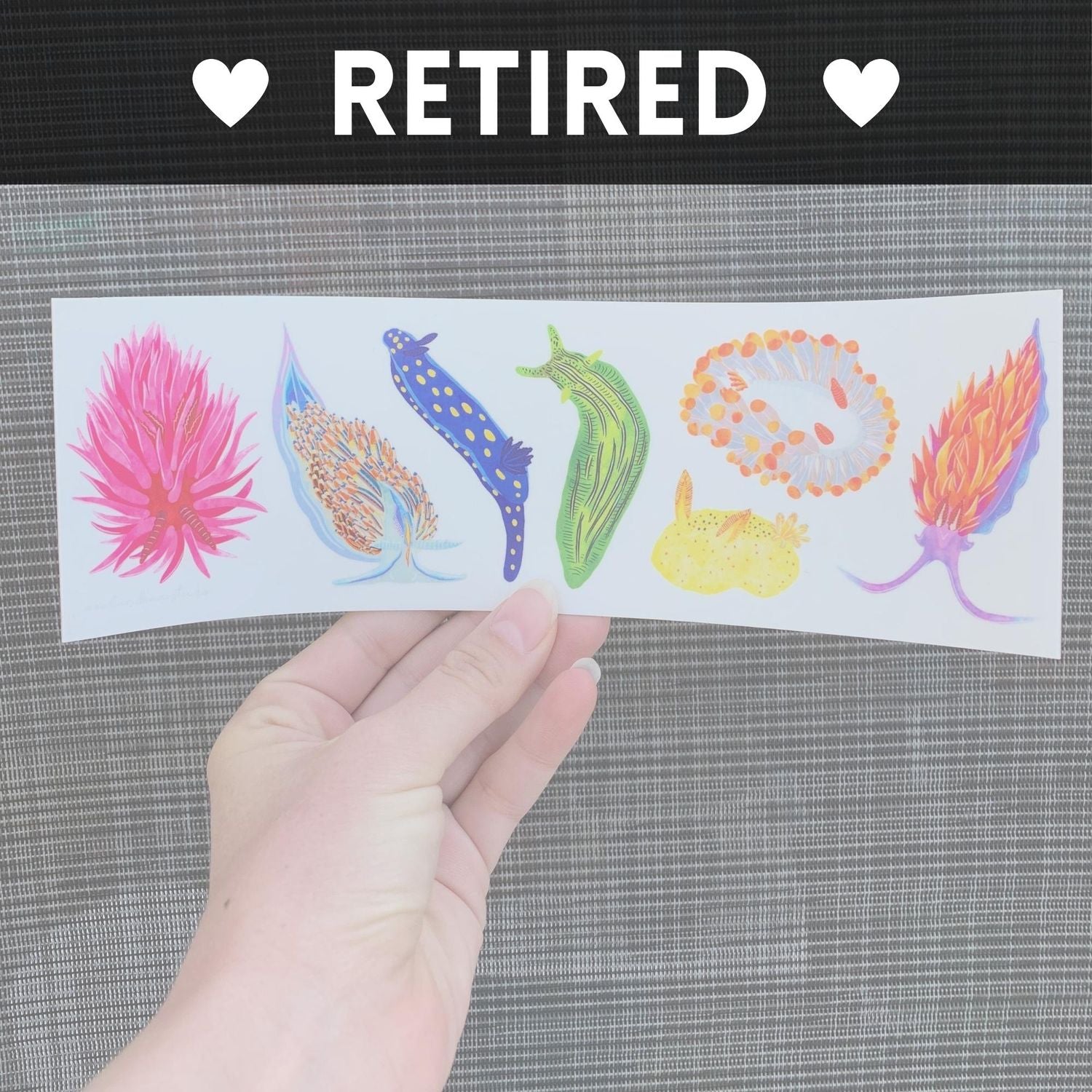 BUMPER STICKER - Rainbow Sea Slugs - Greenguard Certified - (***RETIRE ...