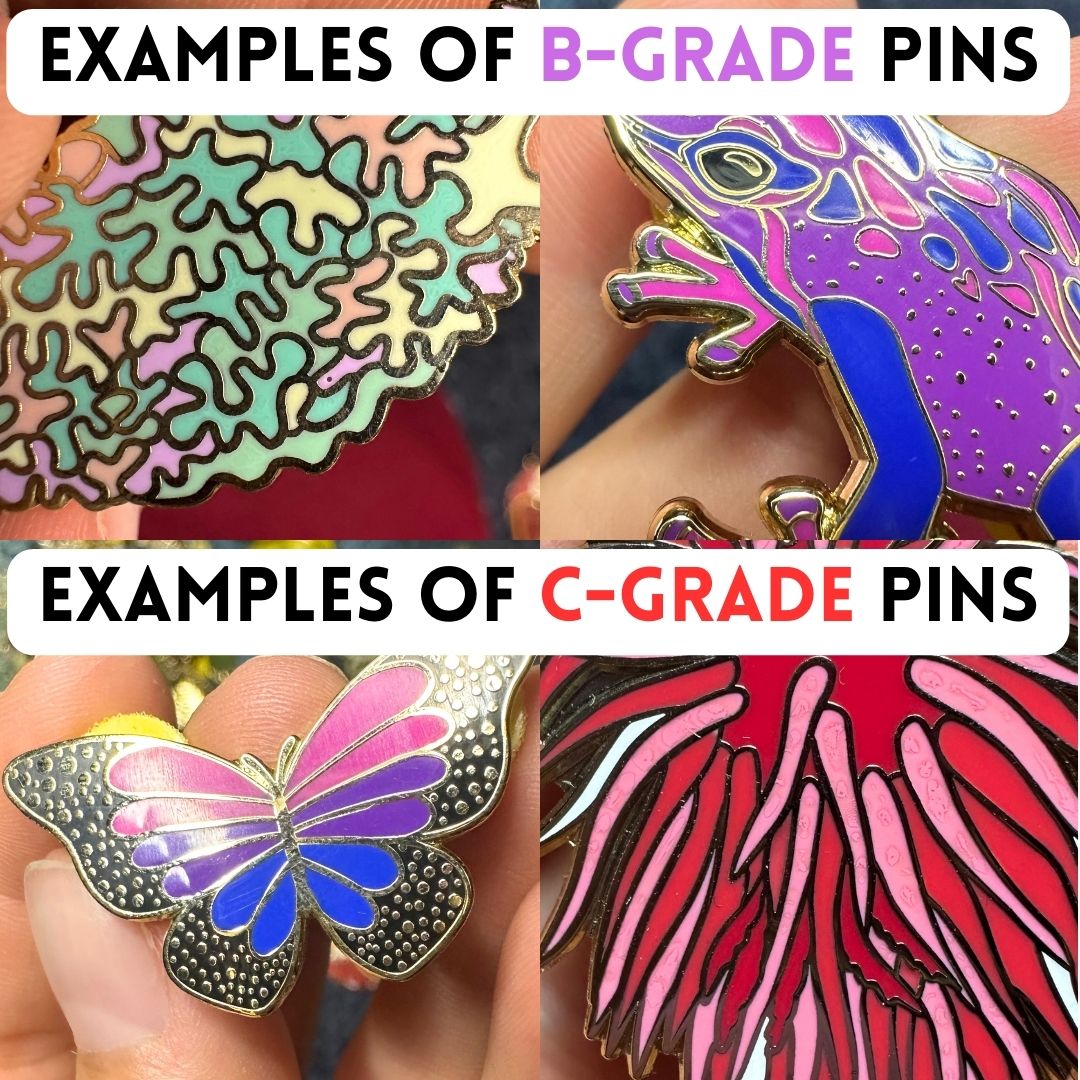 Transgender Pride Frog Enamel Pin - 25% to Charity - Subtle Trans Prid ...