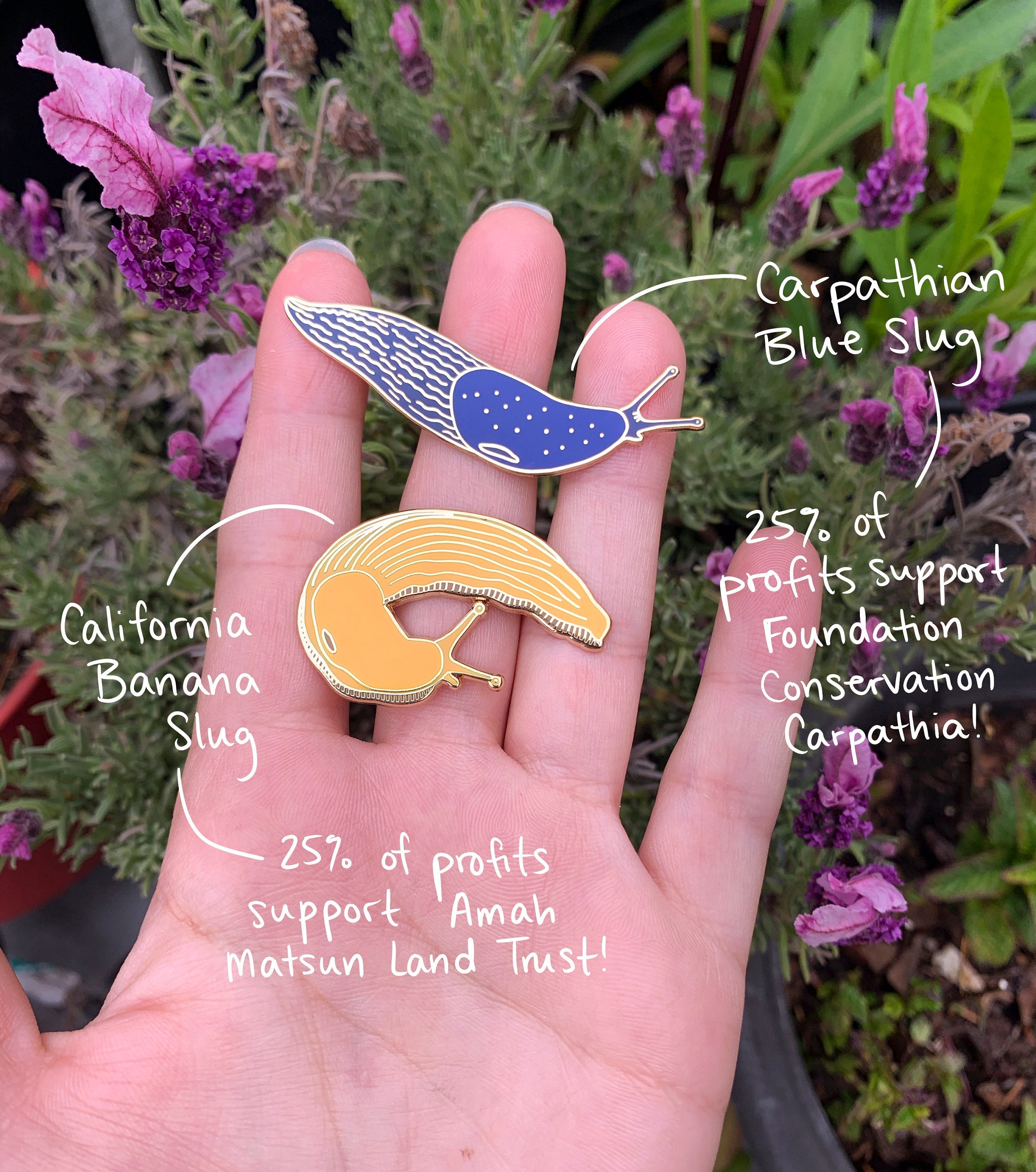 California Banana Slug Pin - 25% to Charity! - Ariolimax dolichophallu ...
